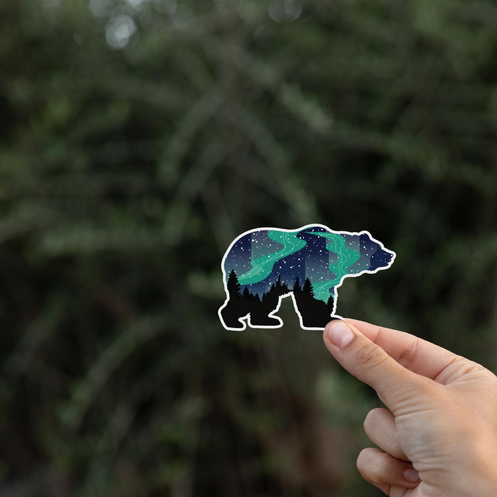 Northern Lights Grizzly Bear Sticker | Laptop, Waterbottle Car Window ...