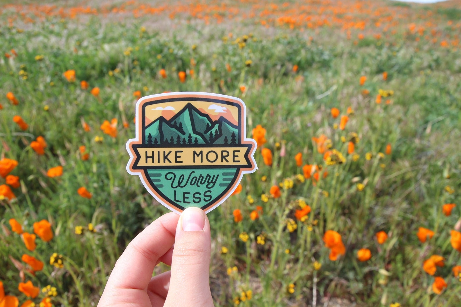 Protect Our Parks | 3 Sticker Set - Etsy