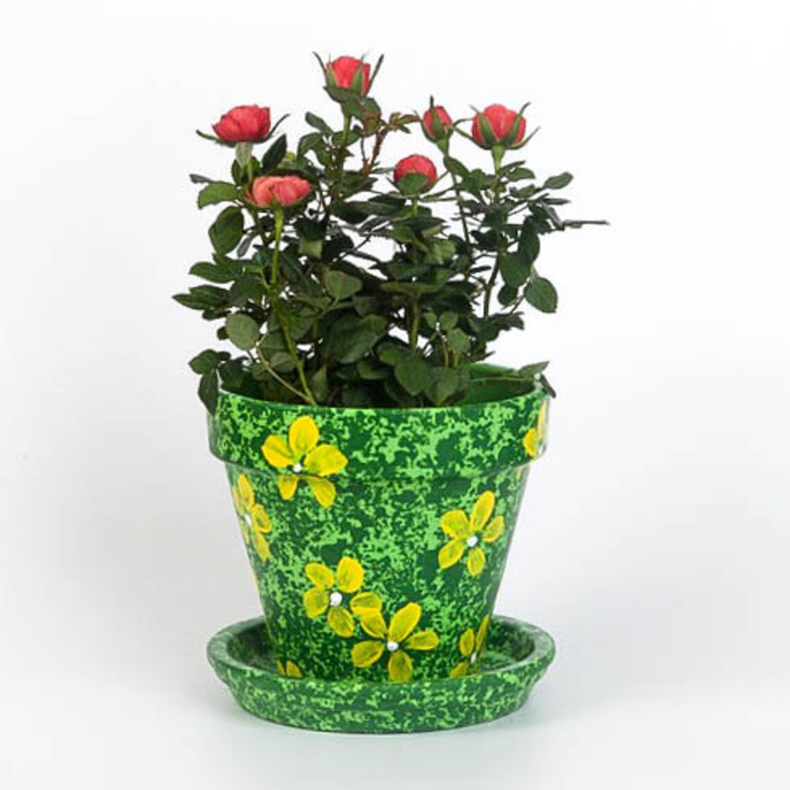 Flower Pot 6 Inch Terra-cotta Clay Pot Hand Painted Mom | Etsy