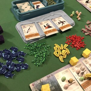 Wingspan Full Upgrade Set - Etsy