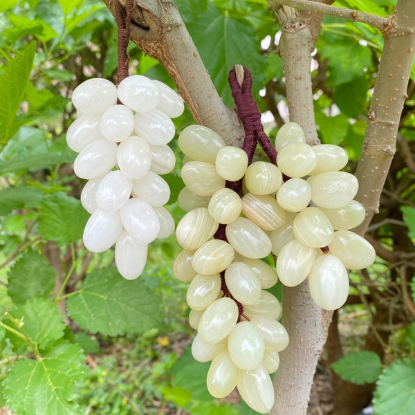 Grape Decor - Etsy