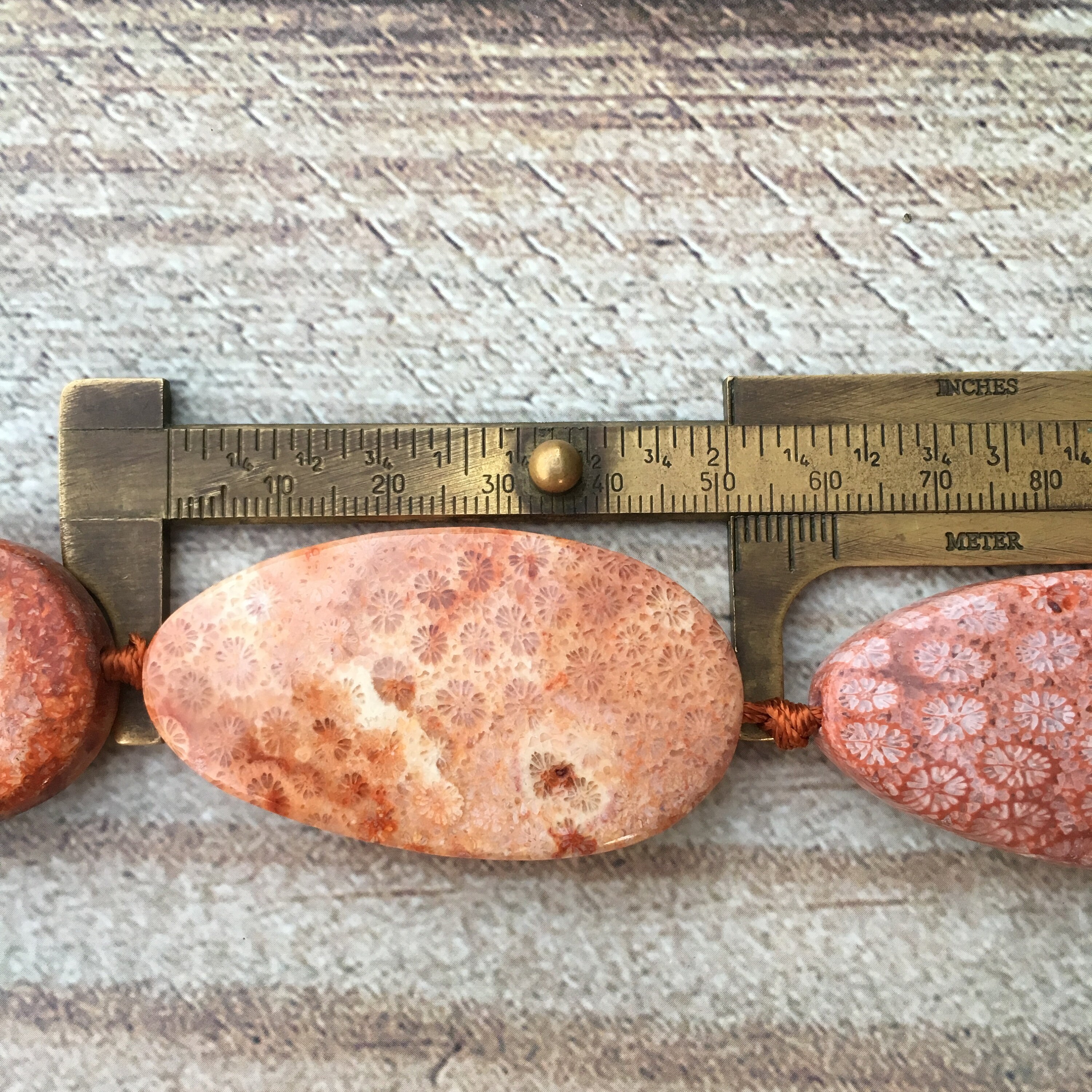 Large Oval Palm Stone Coral Jade Fossil Slice Loose - Etsy