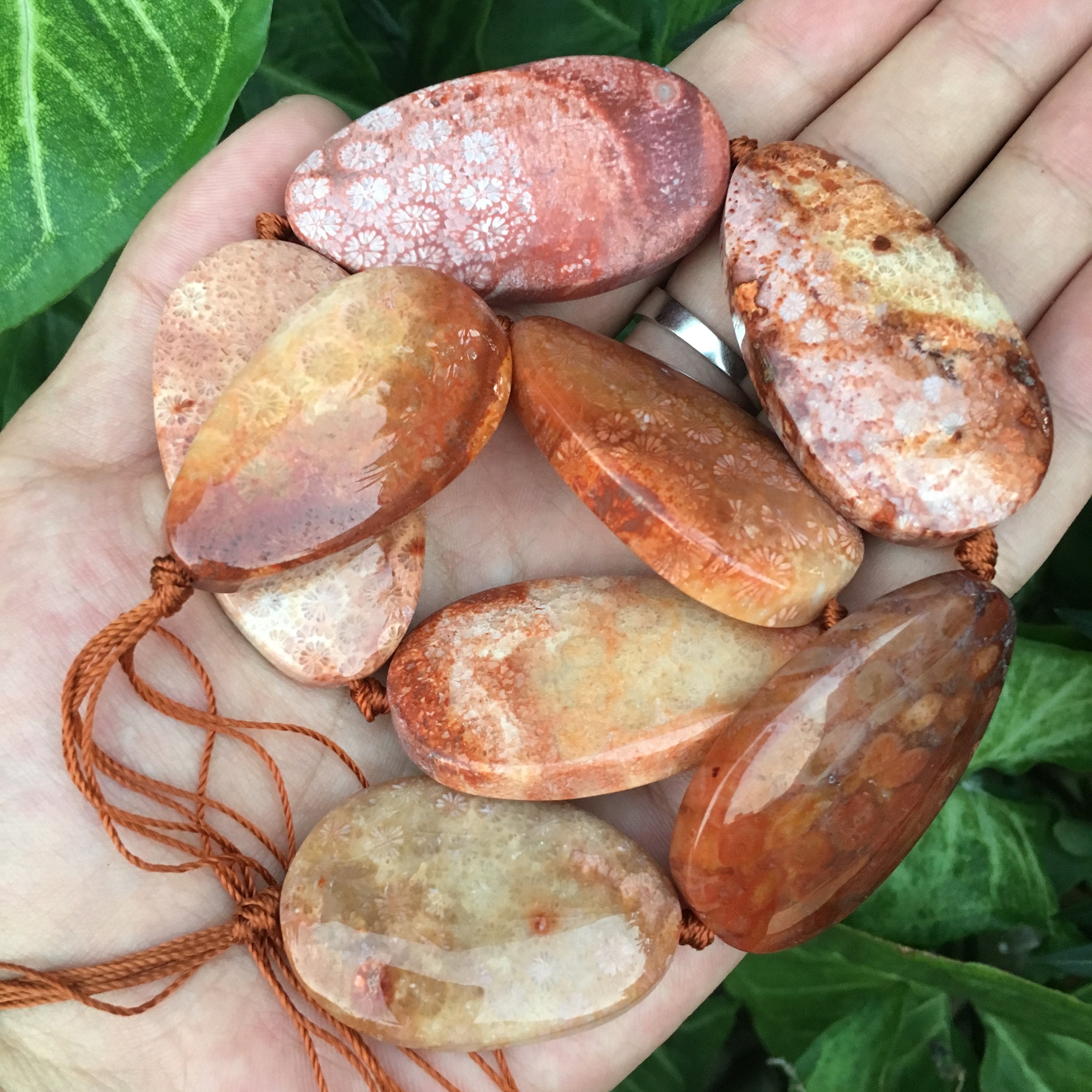 Large Oval Palm Stone Coral Jade Fossil Slice Loose - Etsy