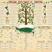 Family Tree Poster - 2 Pack Classic Genealogy Chart - Etsy