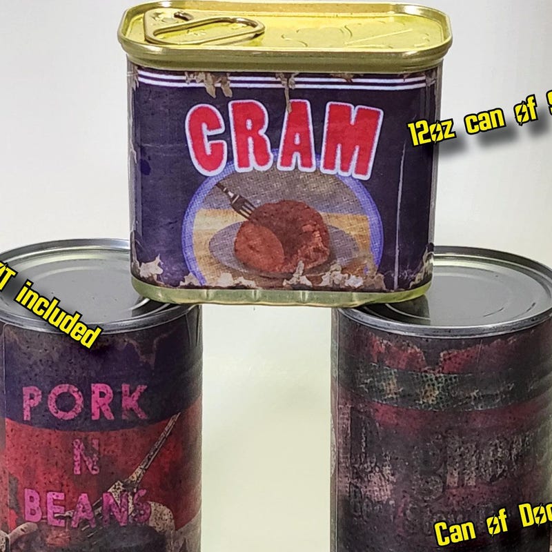 Fallout 4 Cat Mom - Etsy Canada