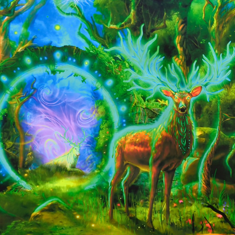 Psy Backdrop forest Portal UV Active Blacklight - Etsy
