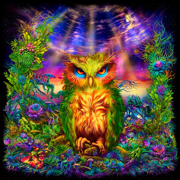Psychedelic Owl - Etsy