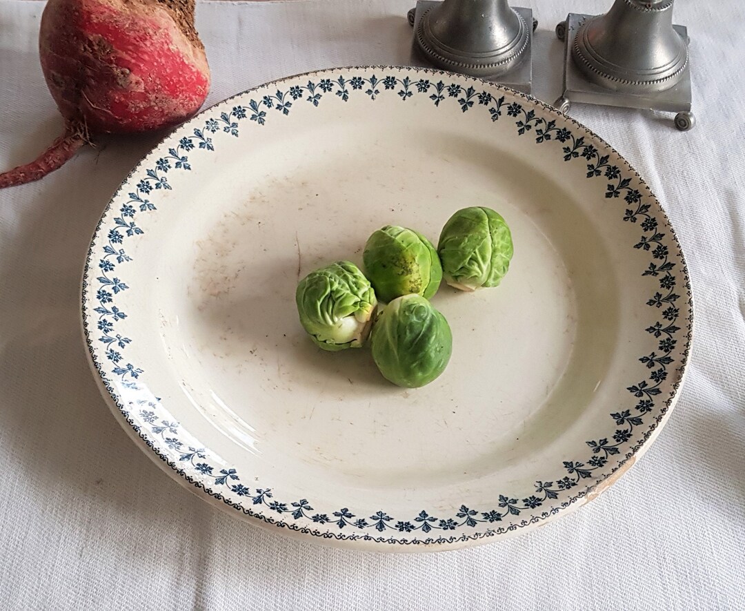 Large Round Serving Plate From France - Etsy