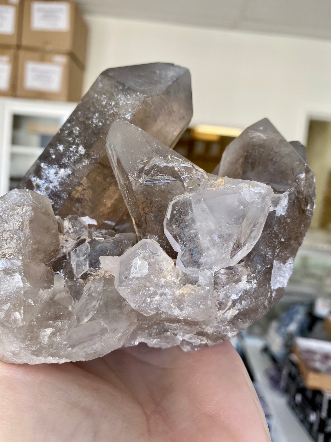 Rutilated Smoky Quartz Cluster Raw Smoky Quartz Quartz | Etsy