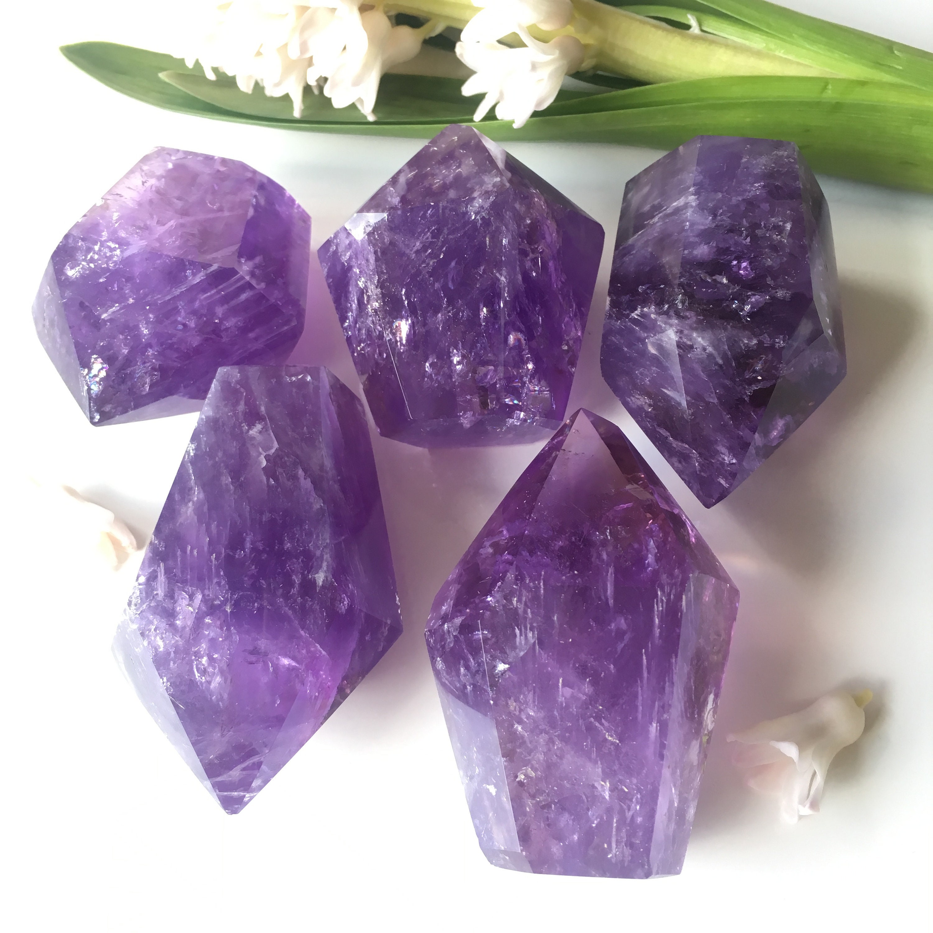 Crystals Purple | ubicaciondepersonas.cdmx.gob.mx Crystals Purple | ubicaciondepersonas.cdmx.gob.mx