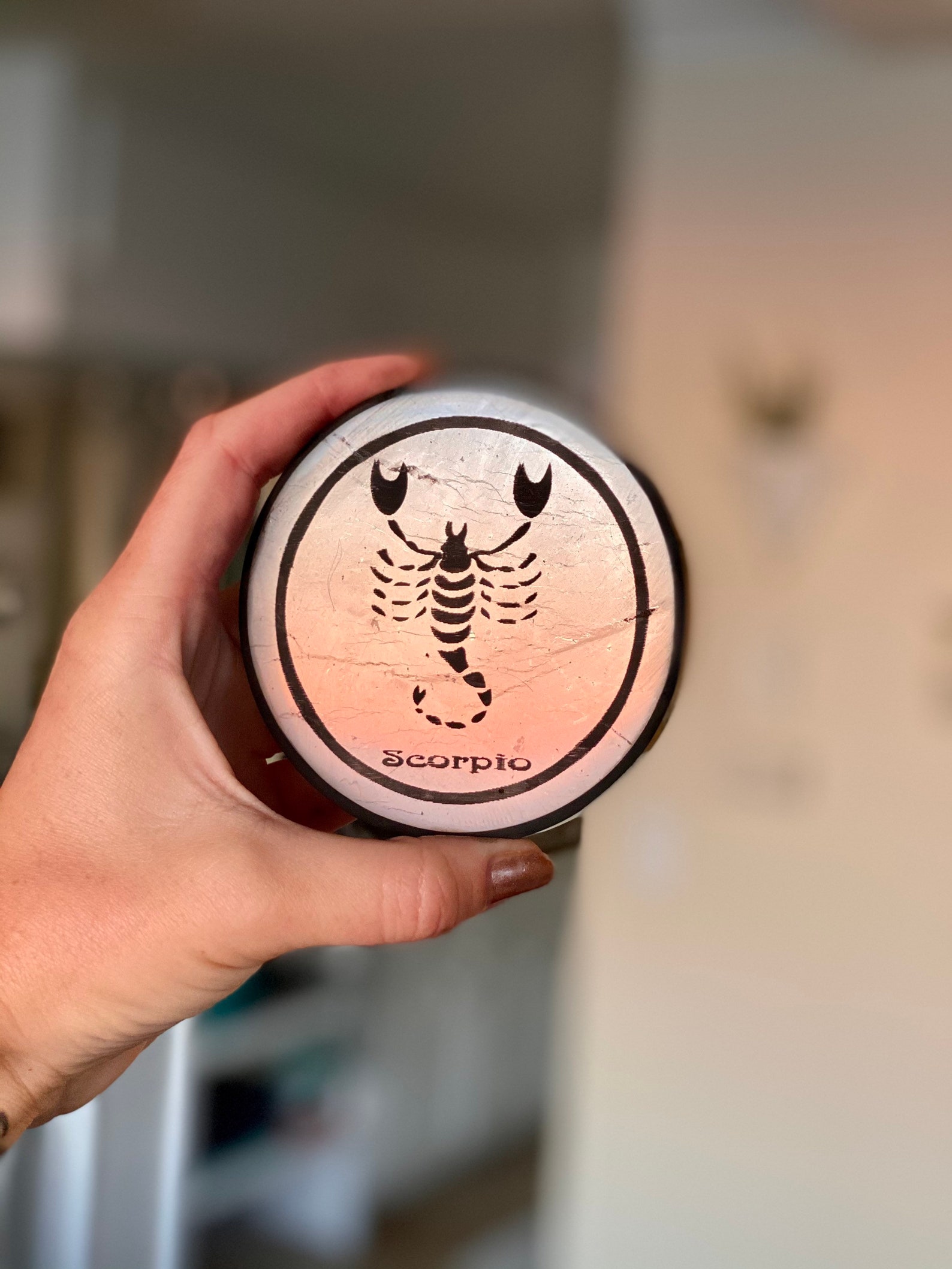 Scorpio Shunghite Plate Shunghite Tile EMF Protection - Etsy