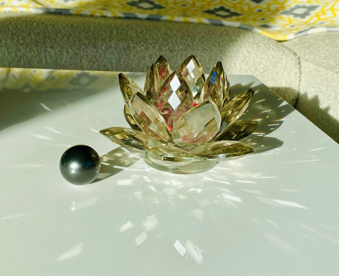 Mini Shungite Polished Collection EMF Protection 5G | Etsy