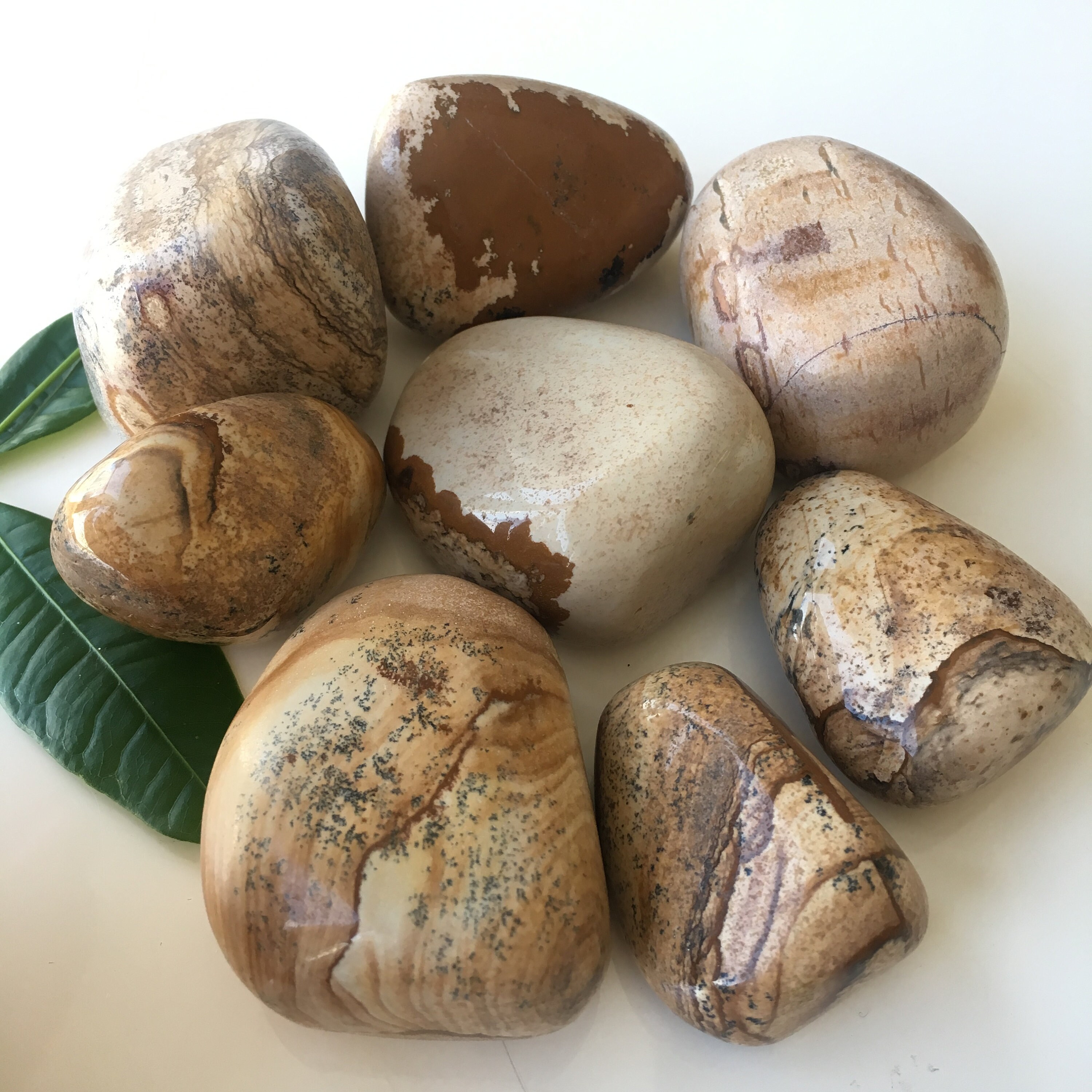 Picture Jasper Tumbled Stone Earth Energy Jasper Palm | Etsy