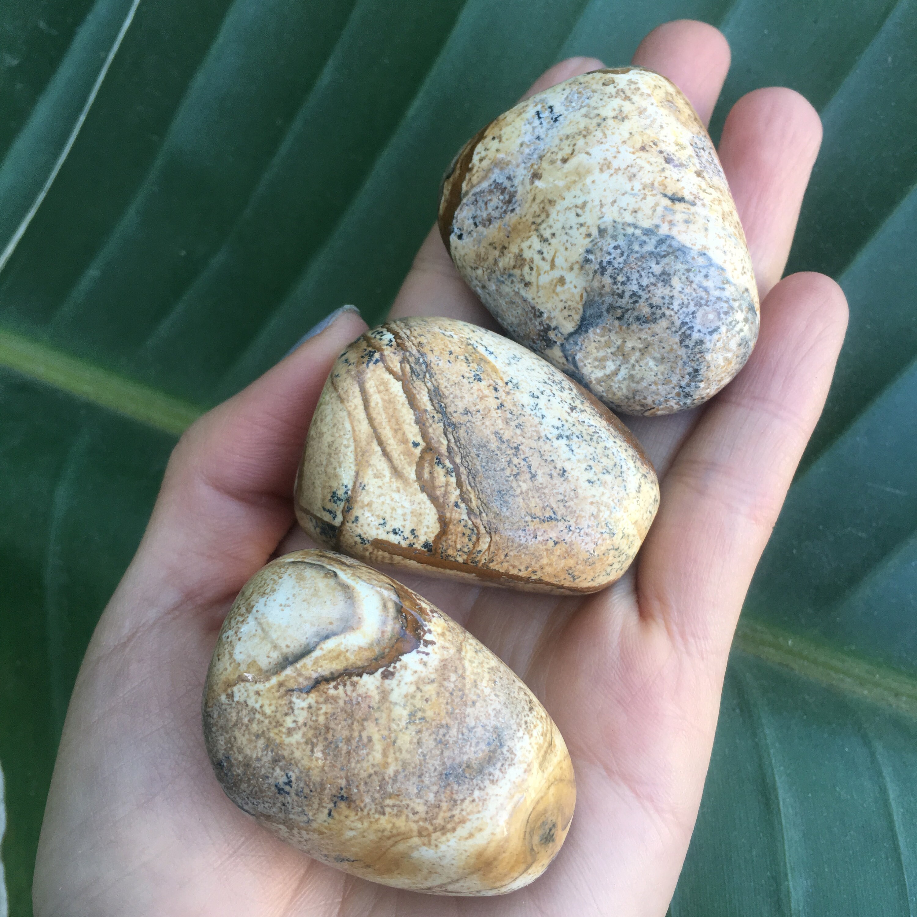 Picture Jasper Tumbled Stone Earth Energy Jasper Palm | Etsy