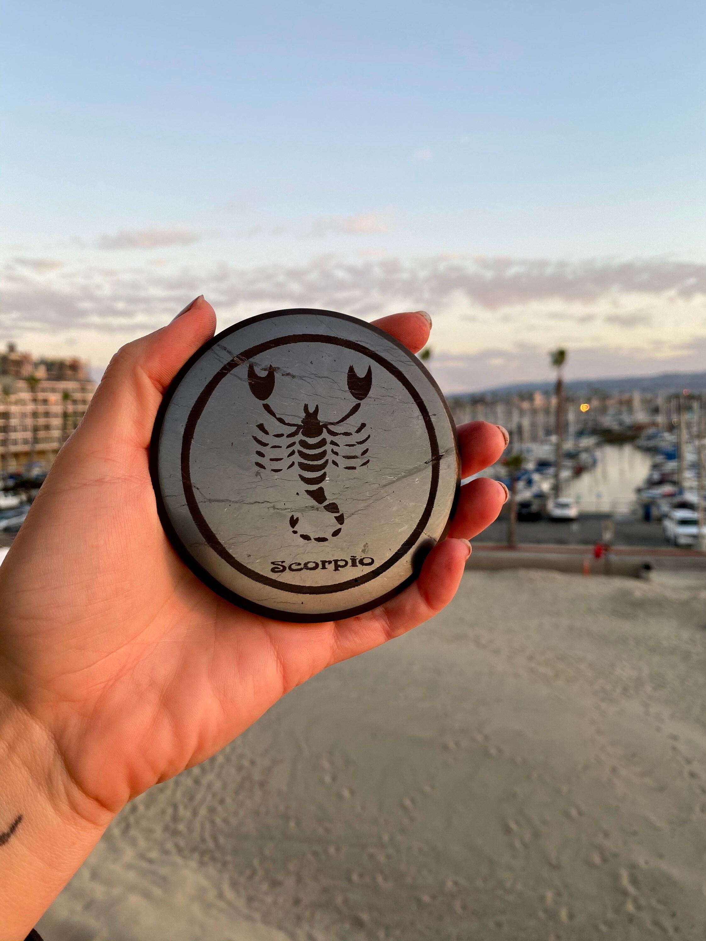 Scorpio Shunghite Plate Shunghite Tile EMF Protection | Etsy