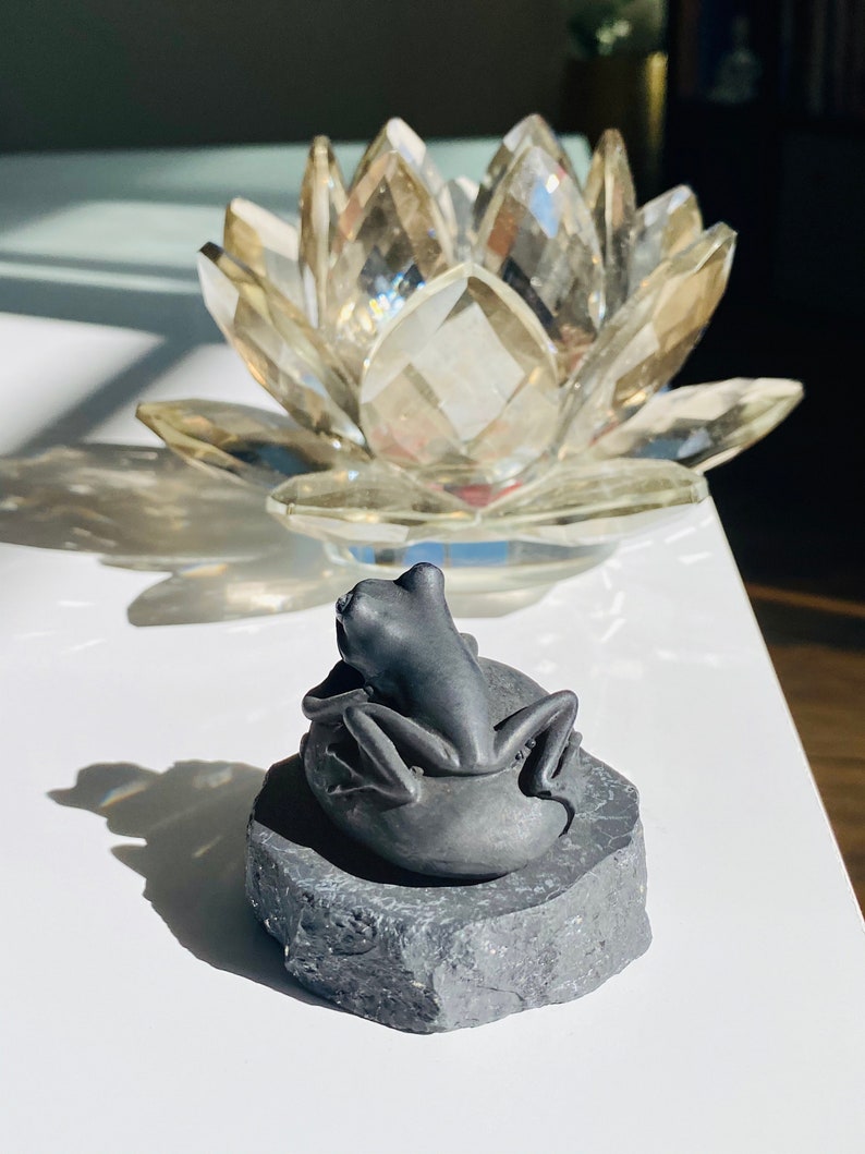 Shungite Frog Frog Statue EMF Protection 5G Protection - Etsy