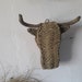 Moroccan Straw Bull Head Animal Head Wall Decor Faux - Etsy