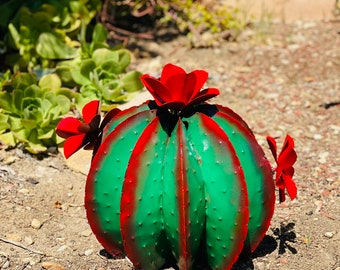 Metal Cactus Yard Art - Etsy