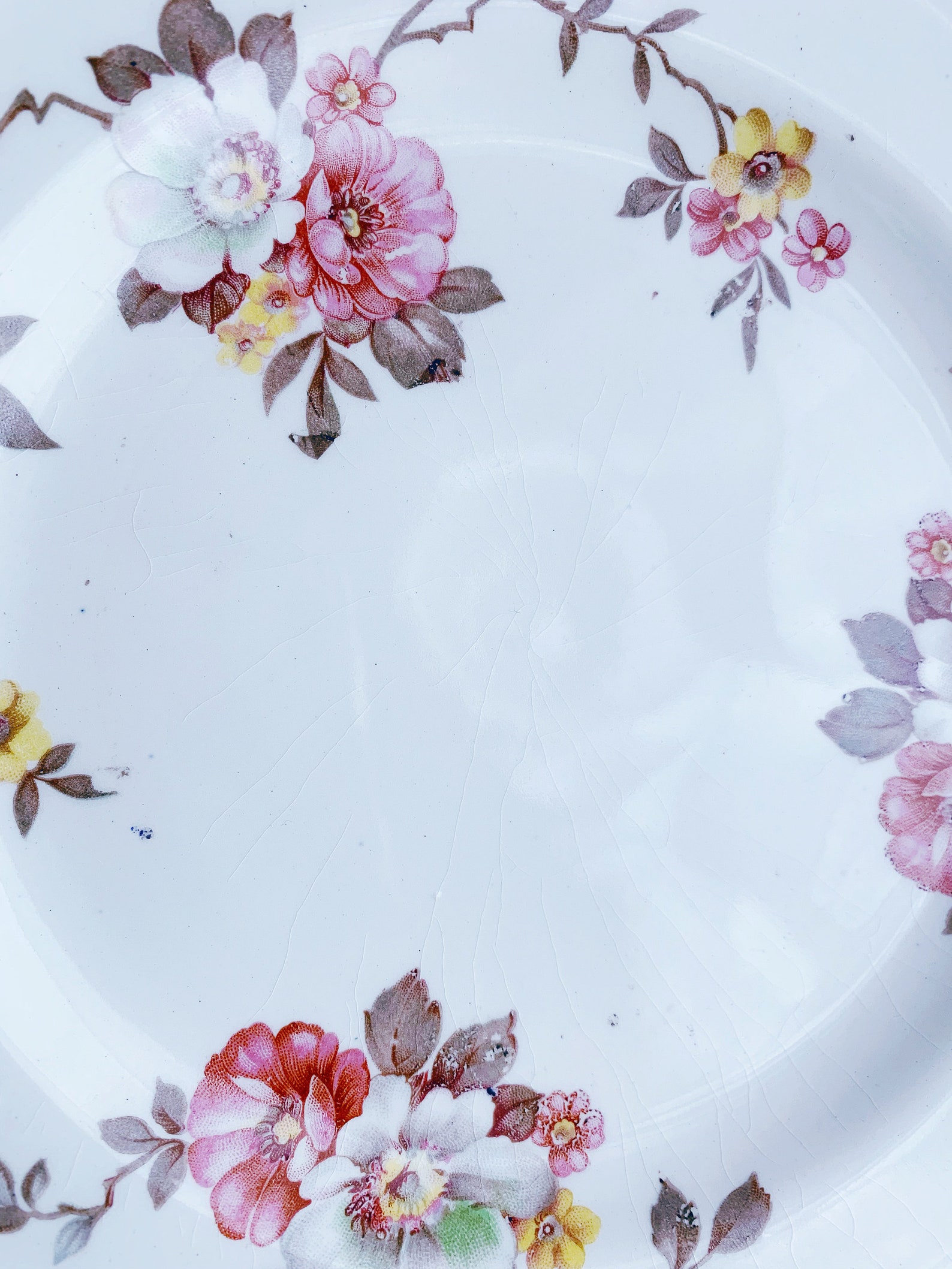 Vintage Flower Print Fine China Plates Vintage Fine China - Etsy