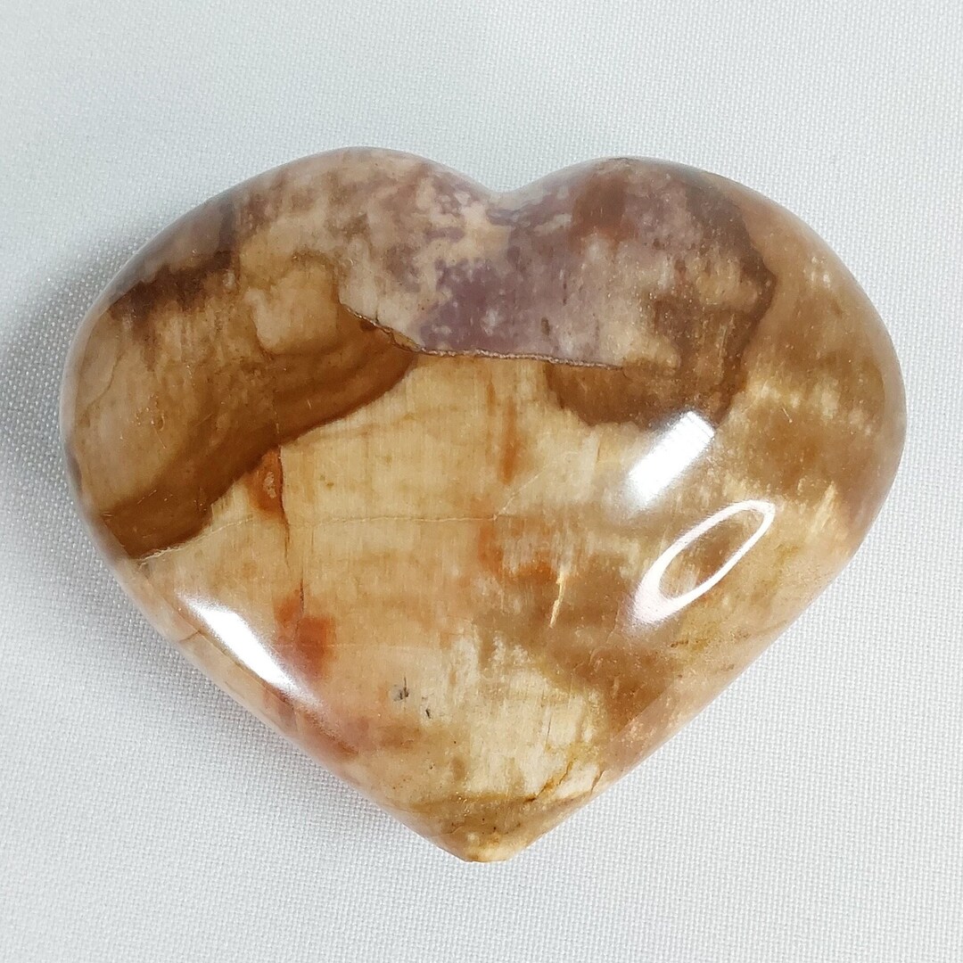 Petrified Wood Heart - 769 - Rare Petrified Wood, Valentines Day Gift ...