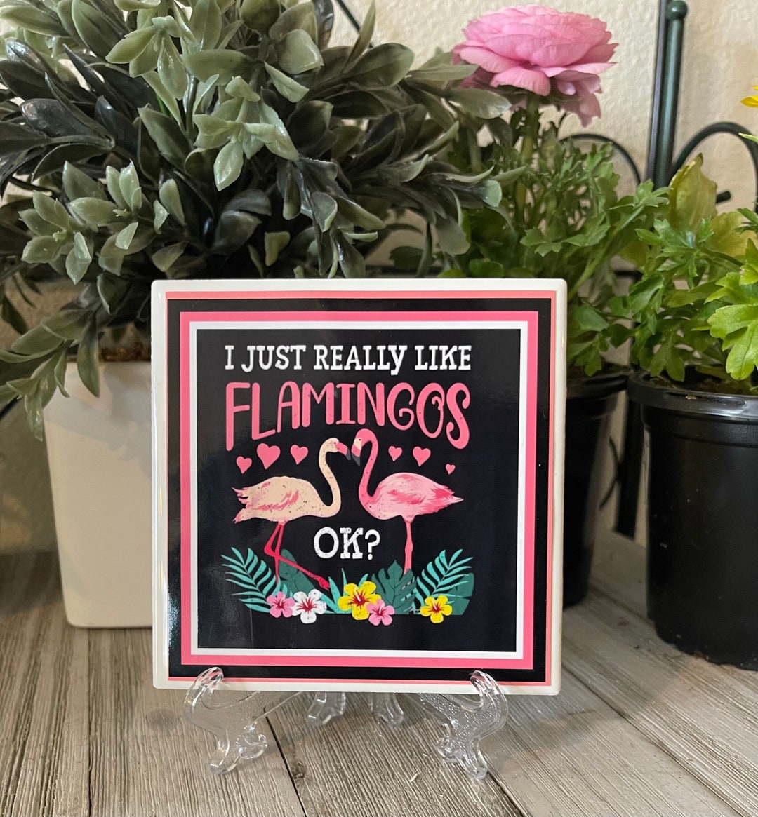 FLAMINGO FUN for FANS Makes a Good Gift, Flamingo, Gifts, Flamingo ...