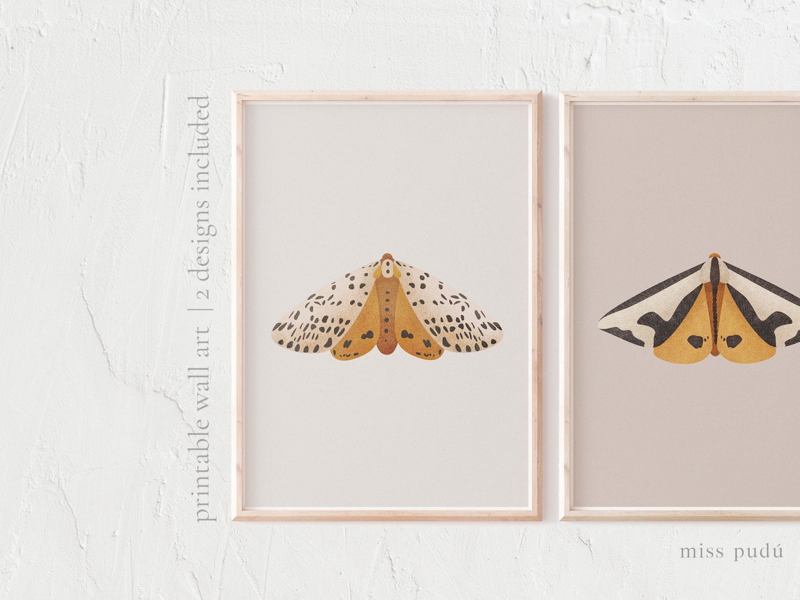 Set of 2 Printable Moth Wall Art Digital Download Pack of | Etsy