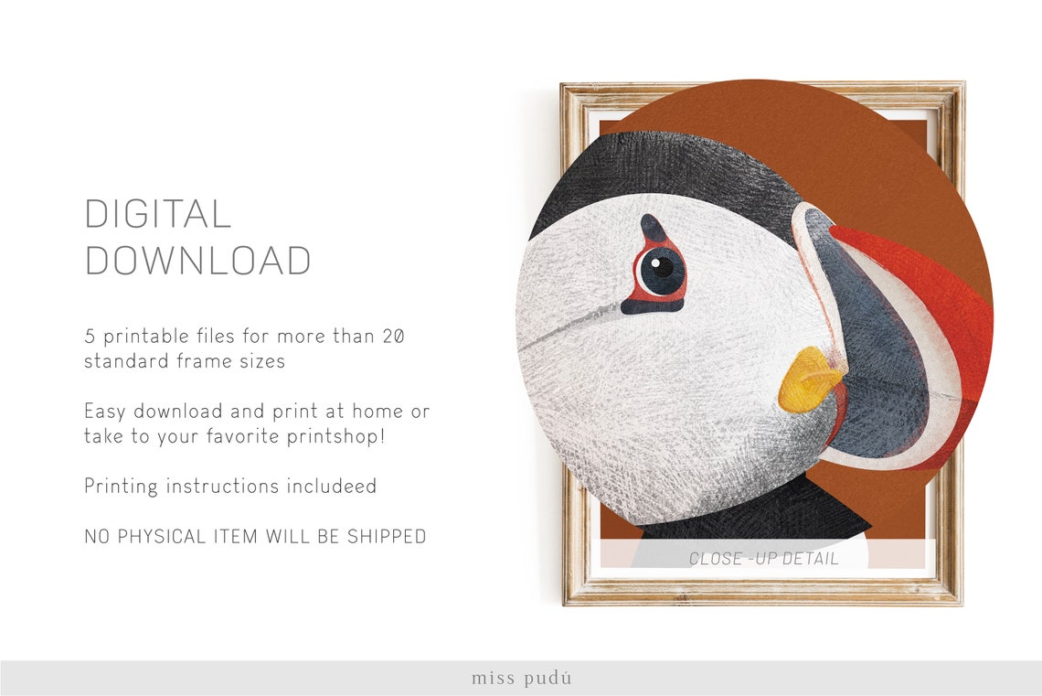 Atlantic Puffin Printable Poster Bird Illustration Digital - Etsy