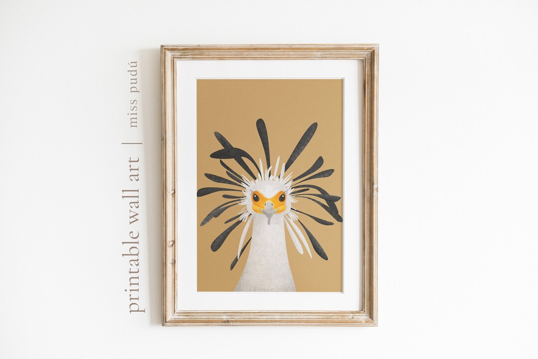 Secretary Bird Printable Poster | African Bird Illustration Digital ...