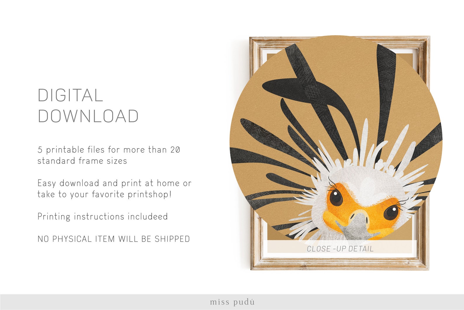 Secretary Bird Printable Poster | African Bird Illustration Digital ...