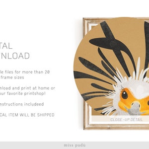 Secretary Bird Printable Poster | African Bird Illustration Digital ...