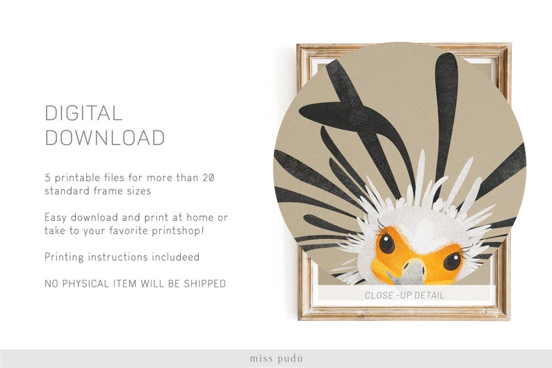 African Bird Printable Poster | Secretary Bird Illustration Digital ...