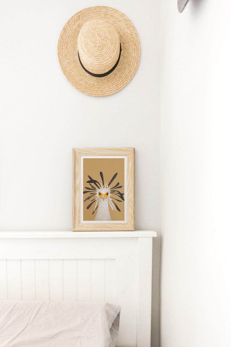 Secretary Bird Printable Poster African Bird Illustration - Etsy