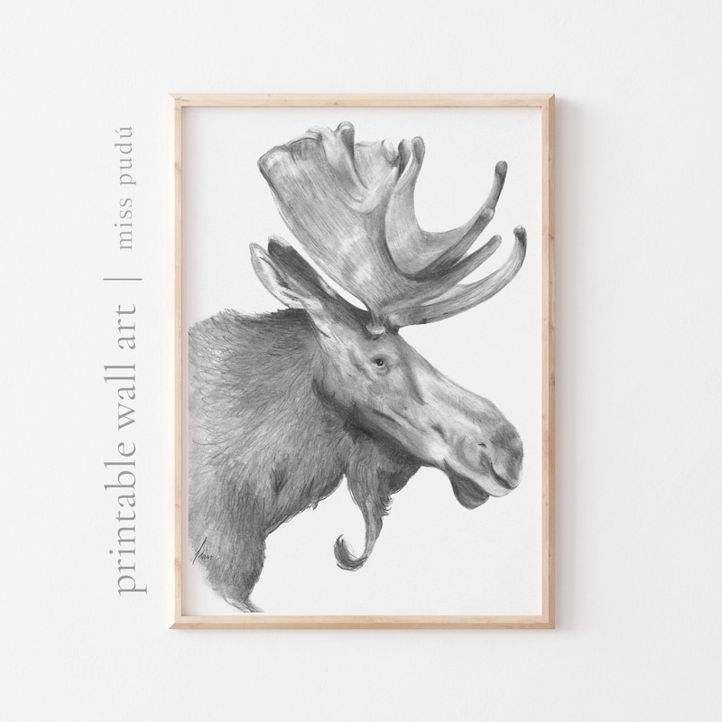 Graphite Animal Prints - Etsy UK