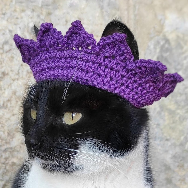 Cat Crown - Etsy