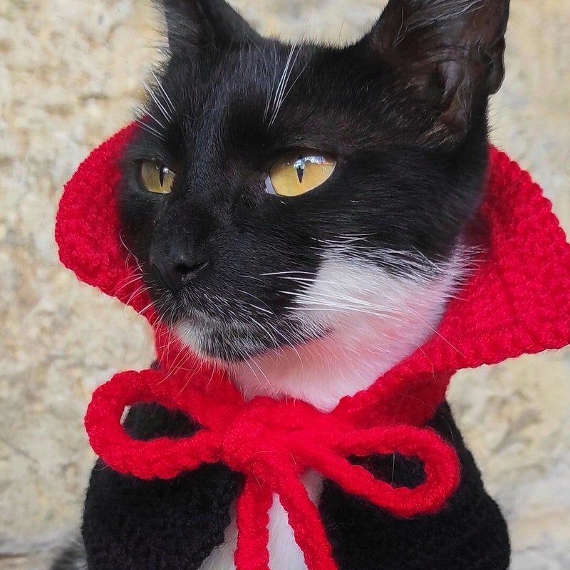 CatsInHatsShop - Etsy