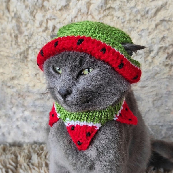 Cat Costumes for Cats - Etsy
