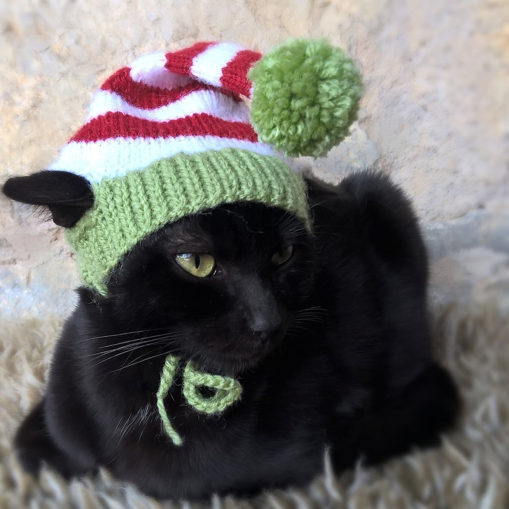 CatsInHatsShop - Etsy