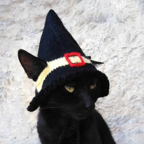 Witch Hat for Cat Pet Costume Cat Halloween Costume Pet - Etsy
