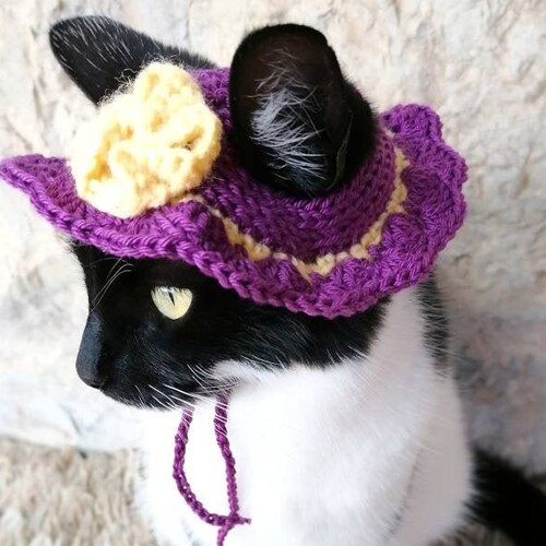Summer Hat for Cat Costume for Cats Hats for Cats Halloween - Etsy