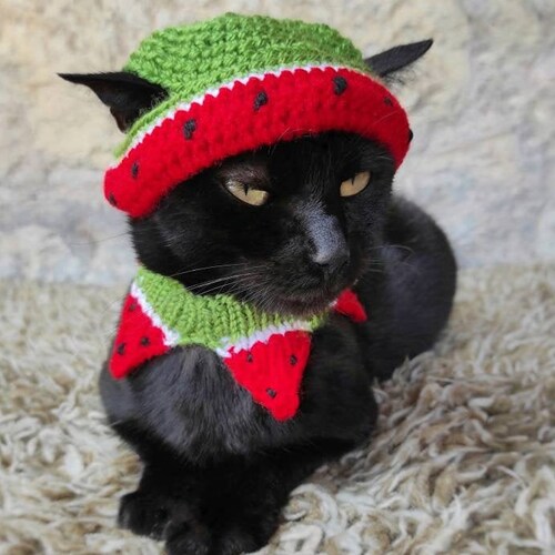 Pumpkin Hat for Cat Pumpkin Pet Costume Halloween Costume | Etsy