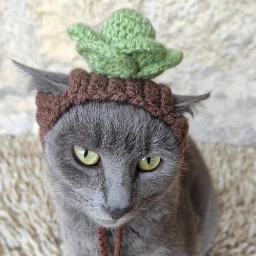 Skull Hat for Cat Pirate Hats for Cats Halloween Pet | Etsy
