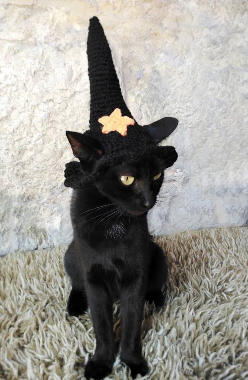 Black Witch Hat for Cat Pet Costume Cat Halloween Costume | Etsy