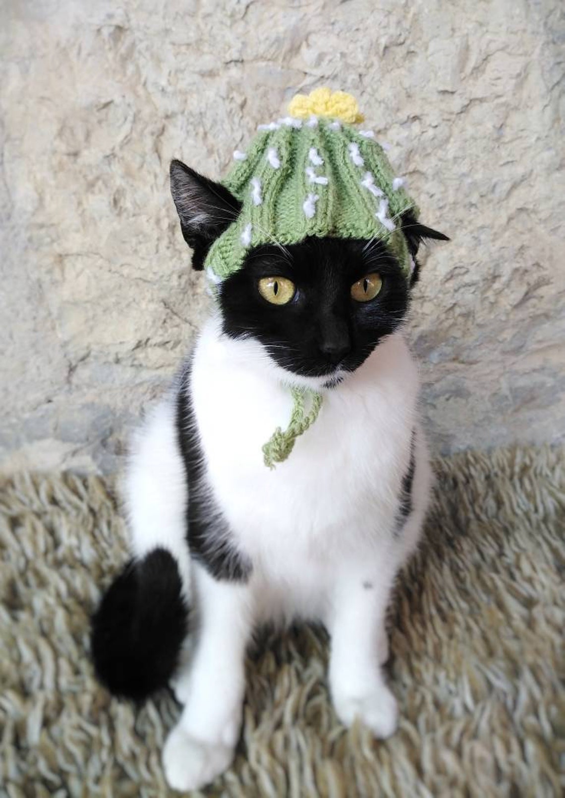 Cactus Cat Hat Flower Hat For Cat Halloween Costumes For | Etsy