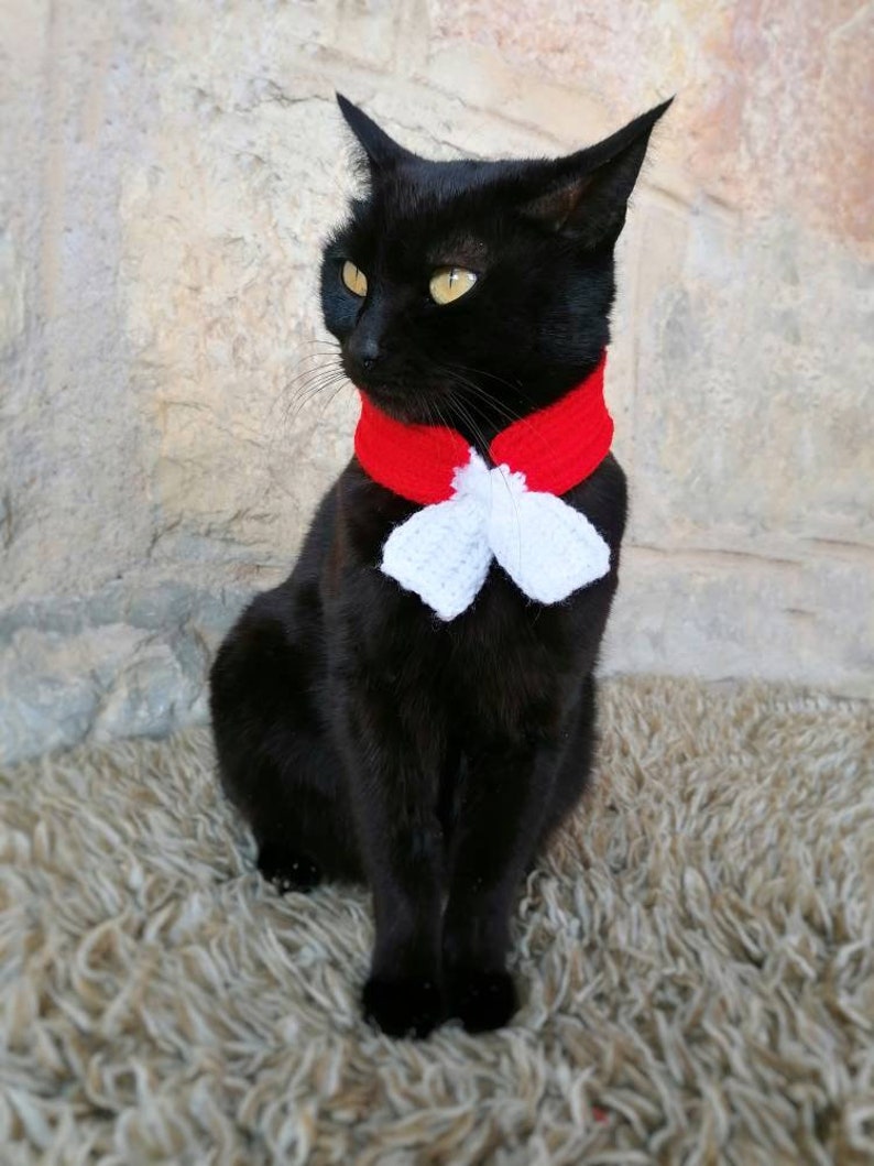 Bufanda para gato Sombrero para gato Disfraces de gato - Etsy España