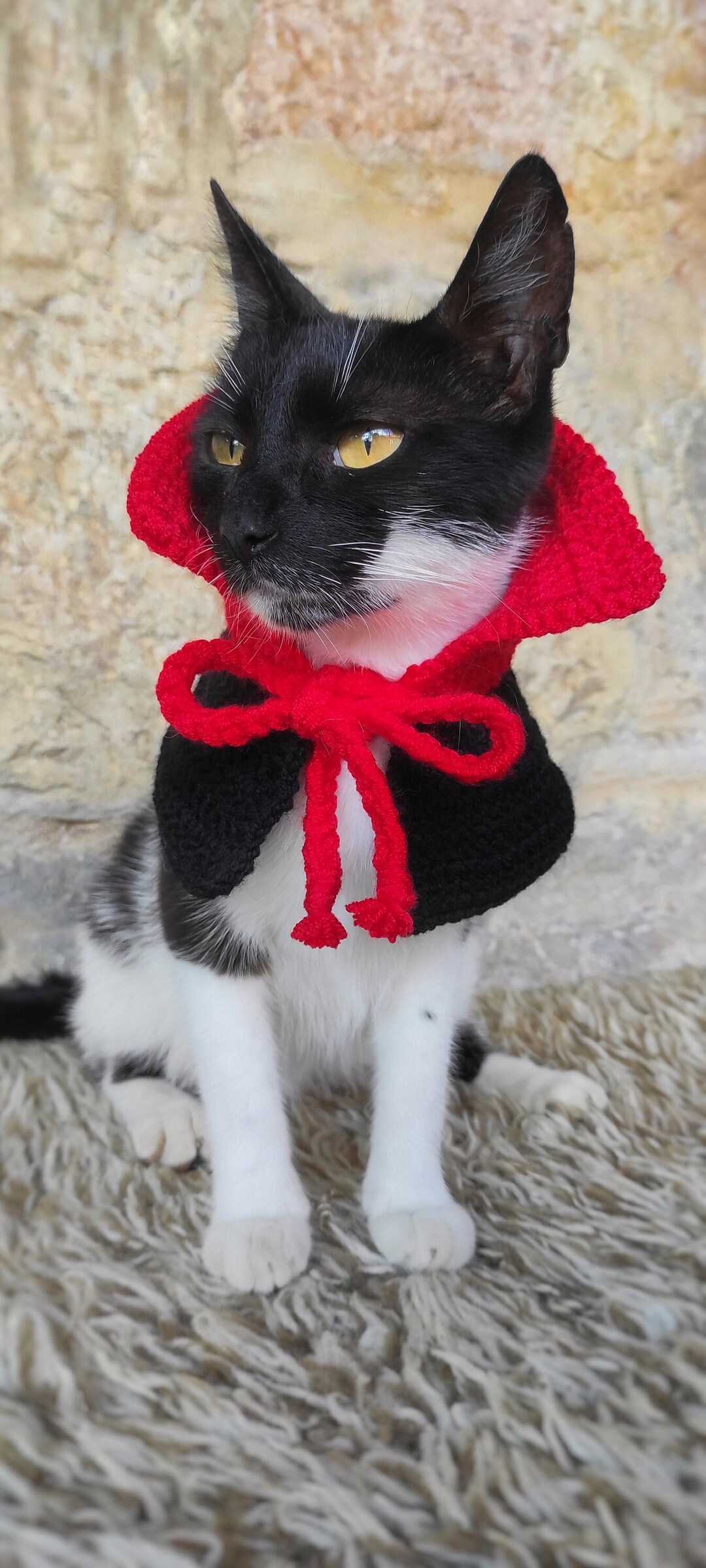 Vampire Costume for Cats, Vampire Wizard Witch Devil, Halloween Cat ...