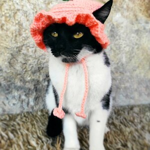 Peach Cat Hat, Crochet Peach Hat for Cat, Peach Hat for Cats, Costume ...