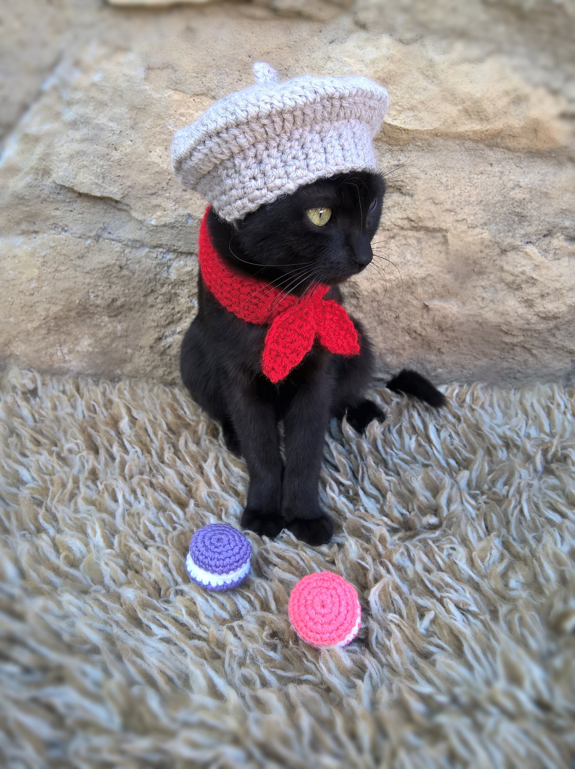 Cat French Beret Hat and Macaron Toys Pet Costume Beret Hat - Etsy UK