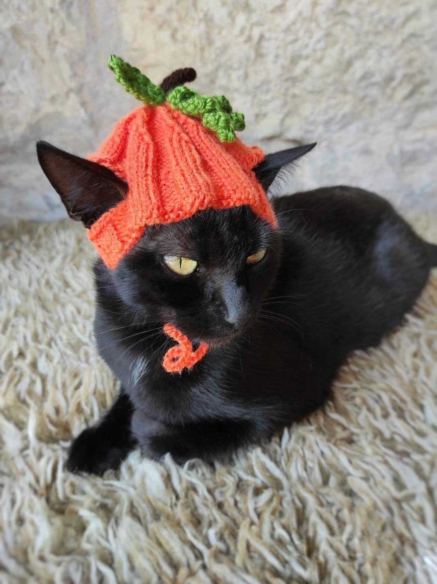 Pumpkin Cat Costume