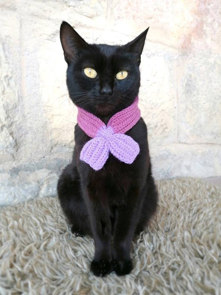 Bufanda para gato Sombrero para gato Disfraces de gato - Etsy España