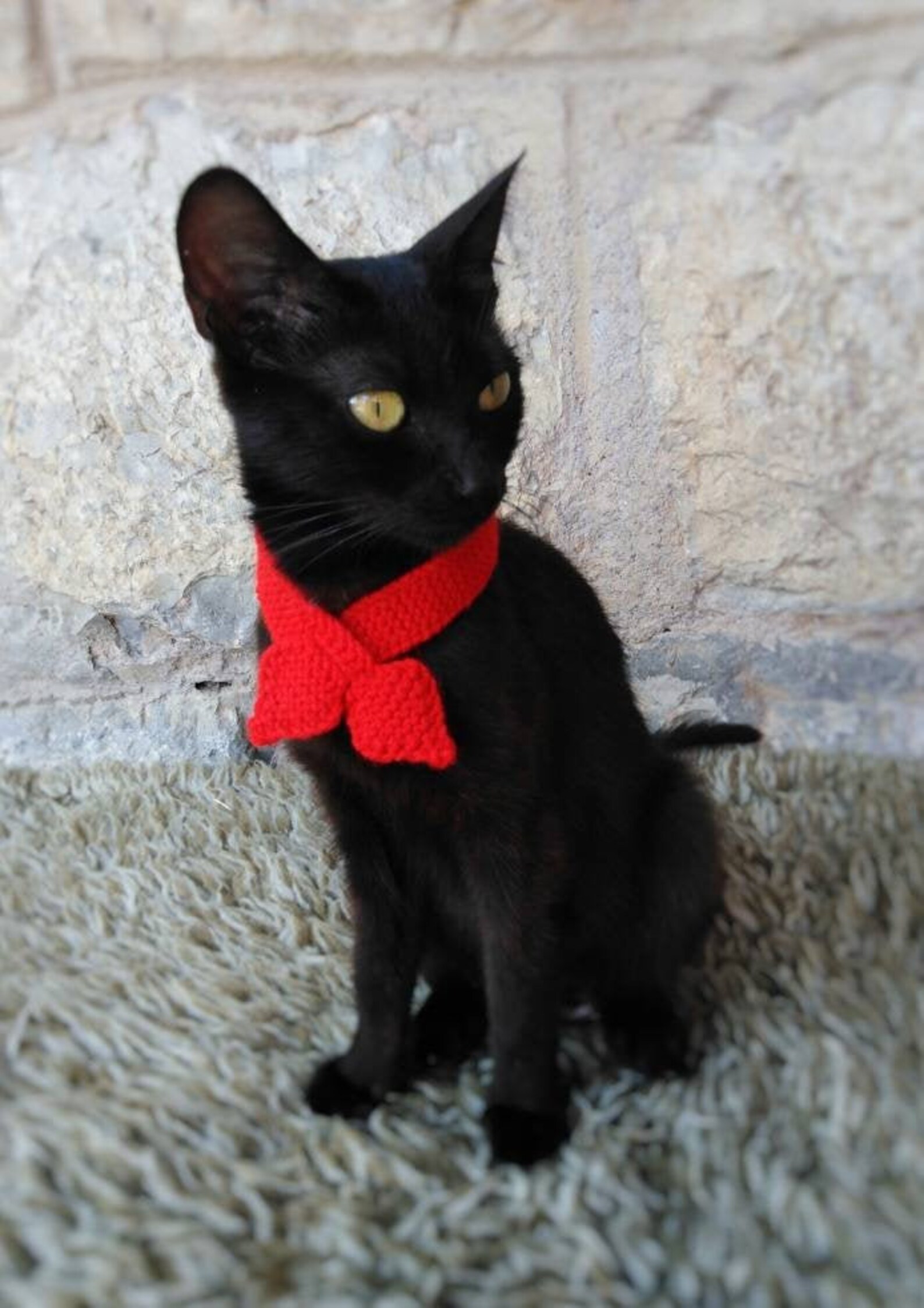 Handmade Acrylic Cat Scarf: Kitten Outfit, Pet Accessories - Etsy